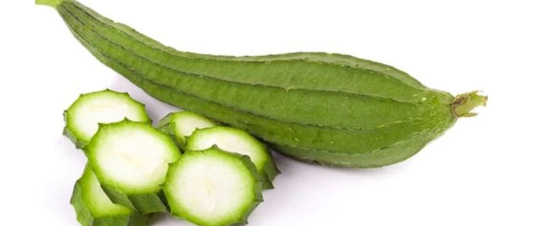 Know how to grow Ridge Gourds in pots and containers at home easily ...