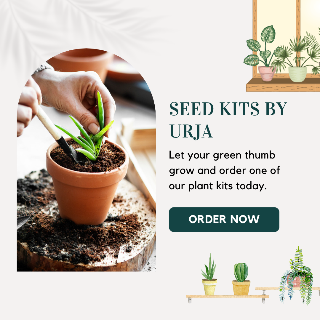 Vegetable Seed Kit MINI – Urja Seeds