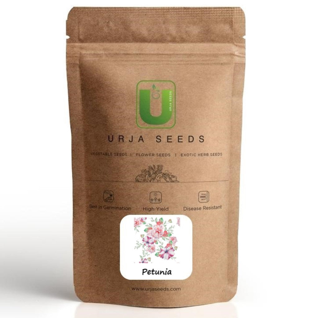 Petunia Multiflora Mambo (Hybrid) - Flower Seeds – Urja Seeds