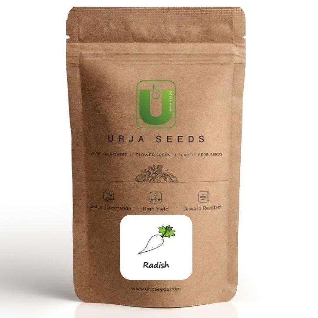 Radish Seeds Chetki Long – Urja Seeds