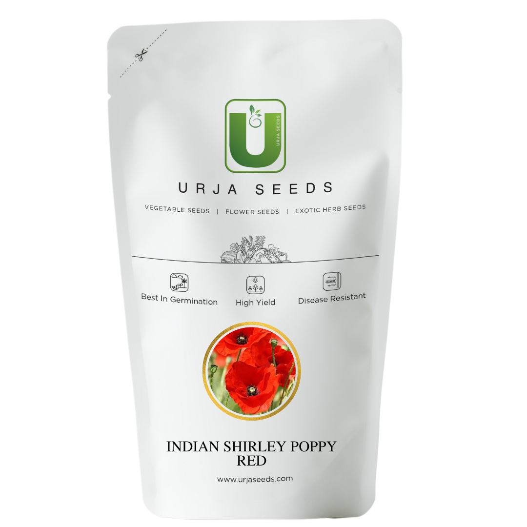 Poppy Red Indian - Flower Seeds – Urja Seeds