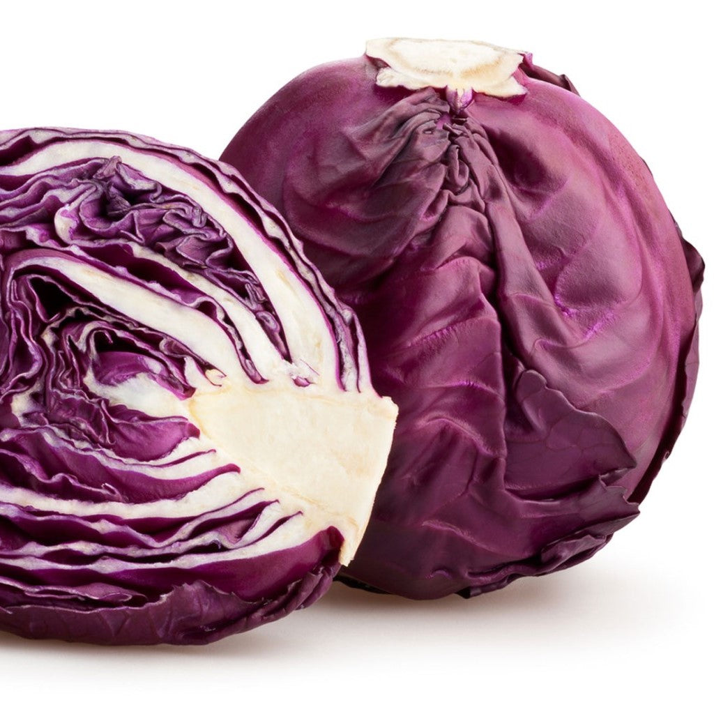 Red Cabbage Seeds Red Ball (OP) – Urja Seeds