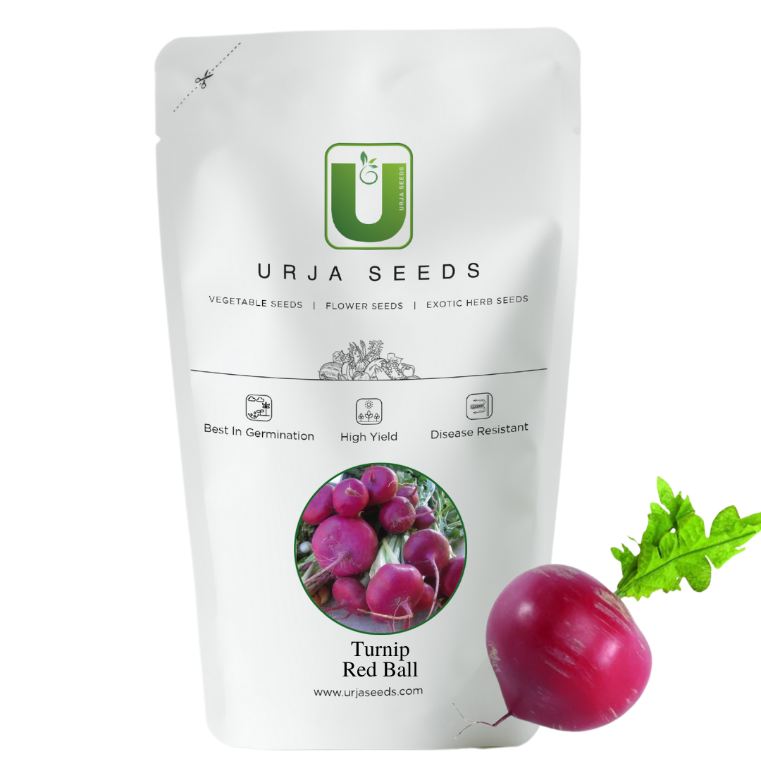 Turnip Seeds Red Ball – Urja Seeds